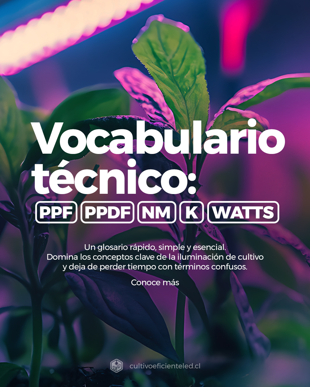 Glosario iluminación cultivo indoor | PPF, PPFD, nm, Kelvin y Watts